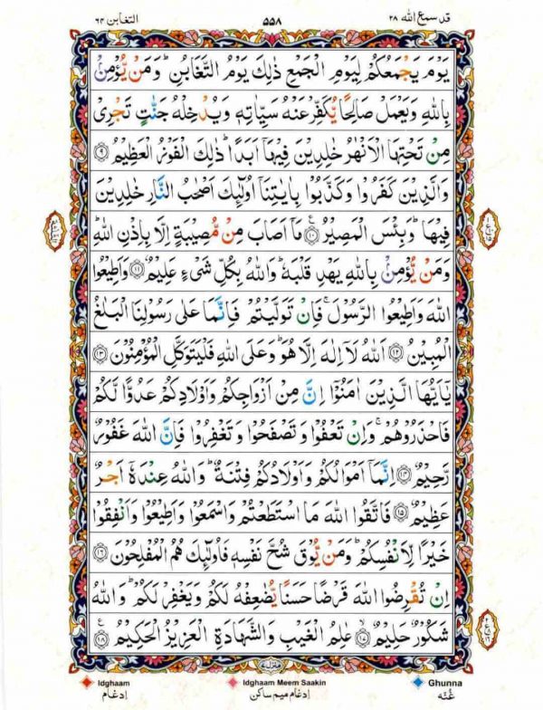 Read Quran Online Para 28 - QuranHost