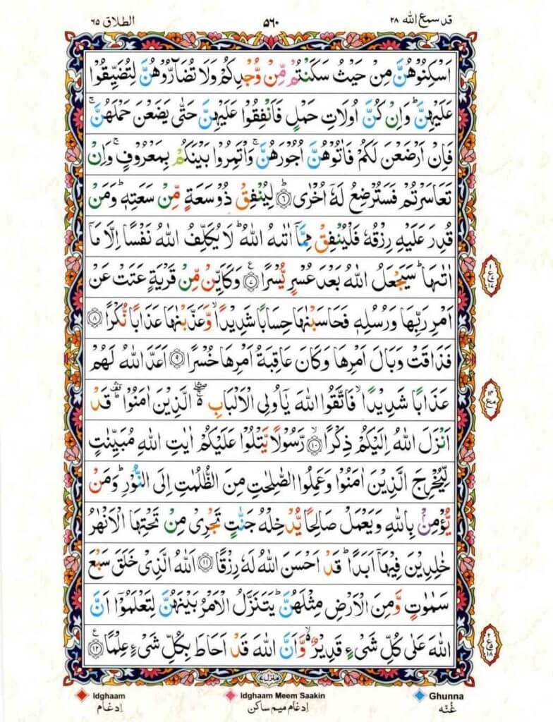 Read Quran Online Para 28 - QuranHost