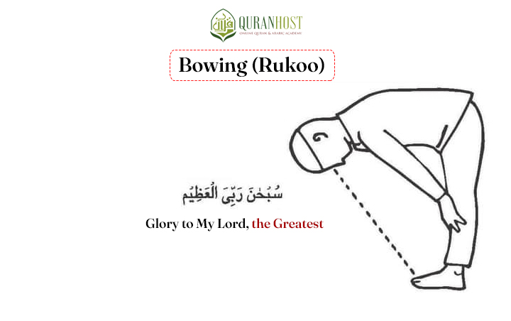 How to Pray in Islam. step by step guideline - QuranHost