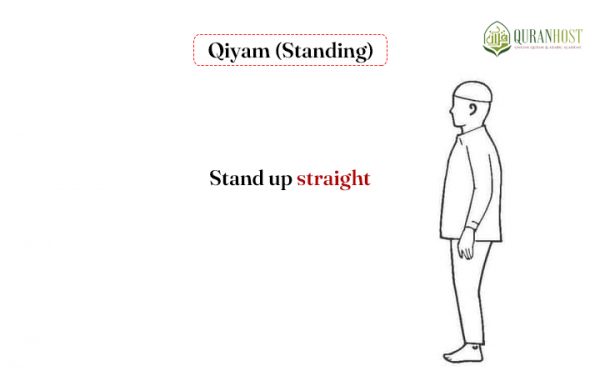 How to Pray in Islam. step by step guideline - QuranHost